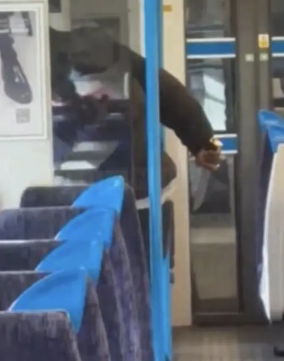 Train Passengers Horrified as Teen Stabs Man with 'Sword-Like' Knife ...