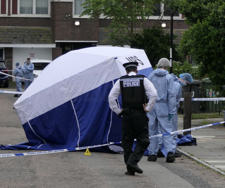 21-Year-Old Stabbed to Death in Deptford Named by Police %sep% UKNIP